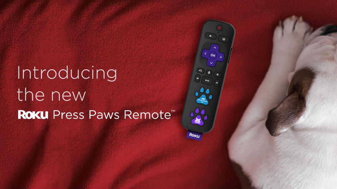 Roku Introduces Pet-Friendly Streaming Remote - CE Pro Roku Introduces Pet-Friendly Streaming Remote - CE Pro